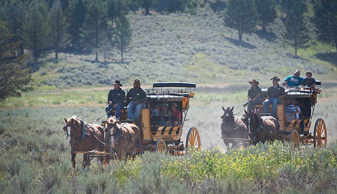 Go on a Stagecoach Ride in Yellowstone National Park