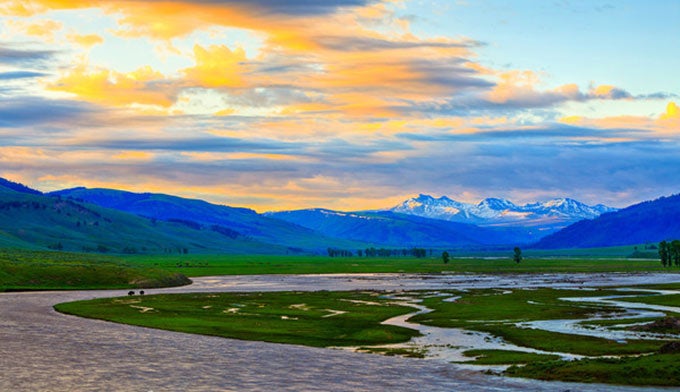 Yellowstone in June Photo Gallery by Dave Schumway