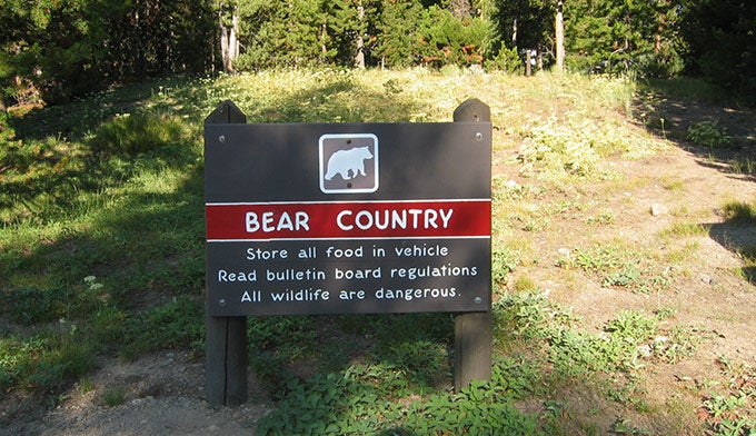 How to Keep Bears Away from Food and Smelly Things in Yellowstone