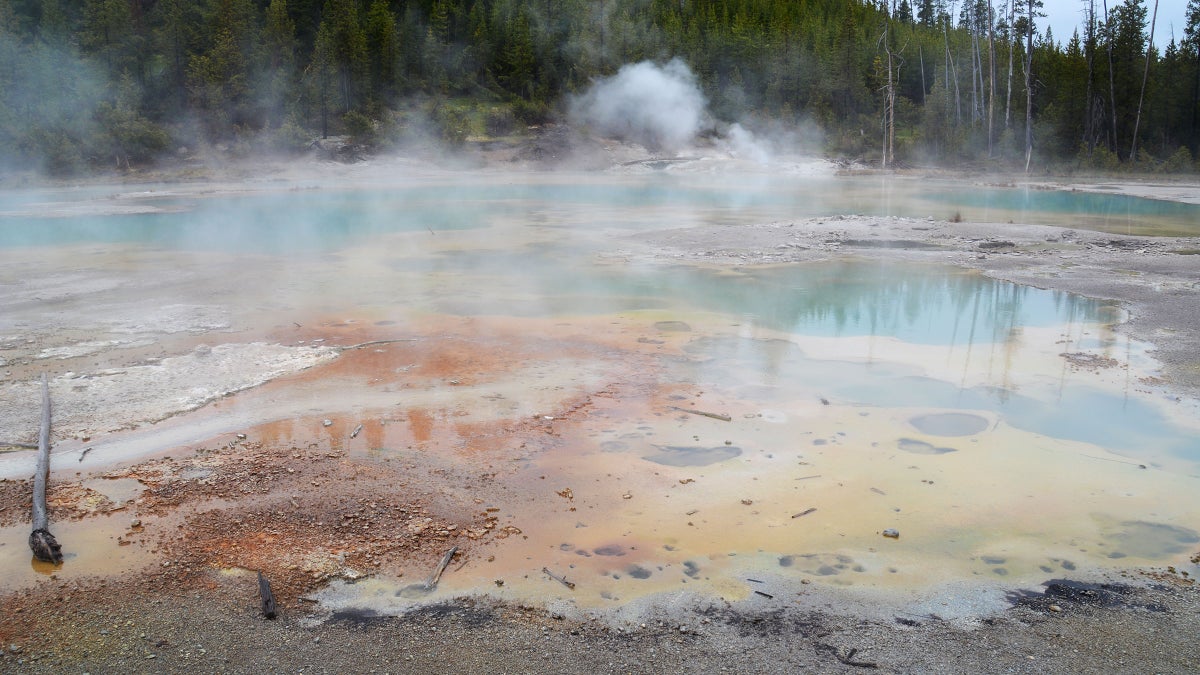 Norris Porcelain Geyser Basin's Milky Colors