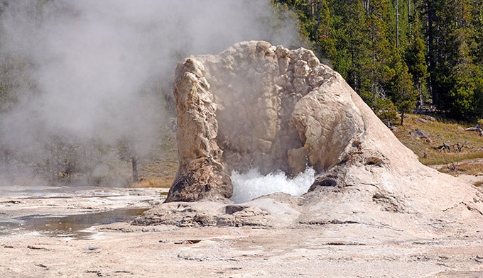 After Years of Calm, Giant Geyser Erupts in Yellowstone