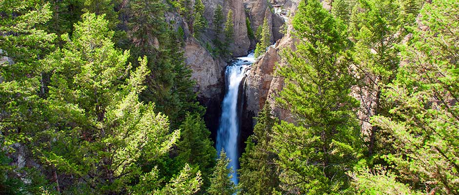 Protect Our Parks | Yellowstone National Park Conservation