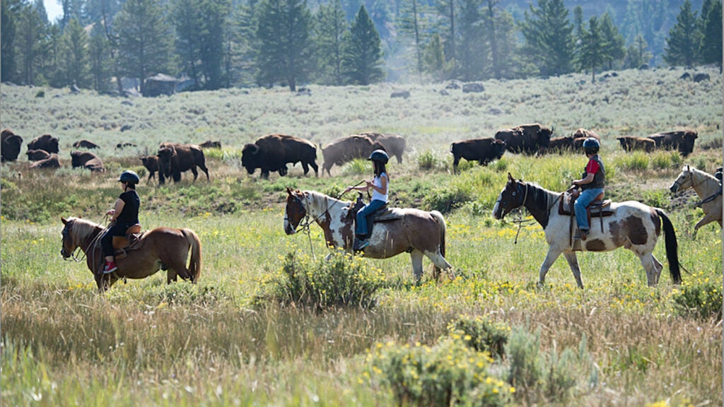 Go Horseback Riding near Yellowstone and Grand Teton