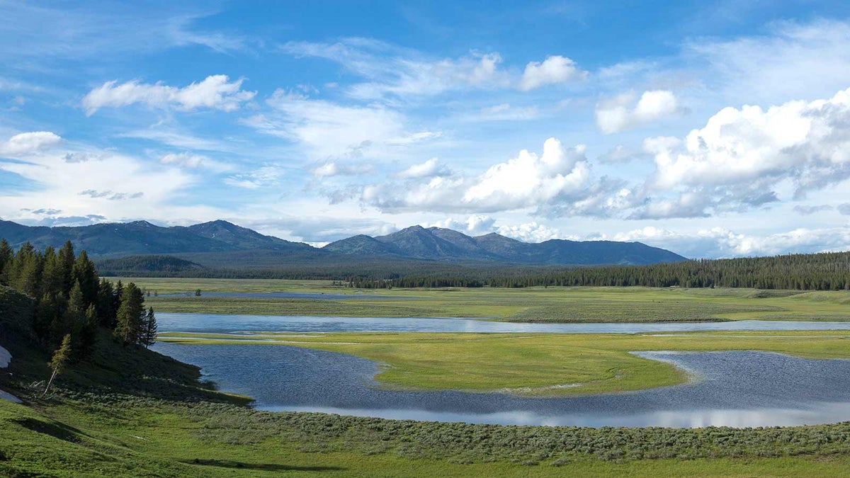 Protecting Yellowstone
