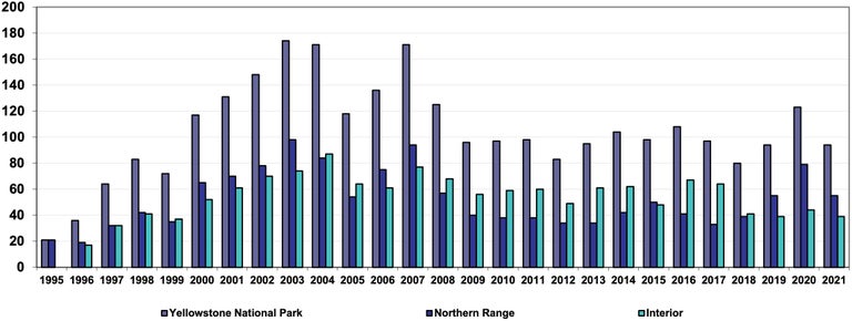 How Many Wolves are in Yellowstone?