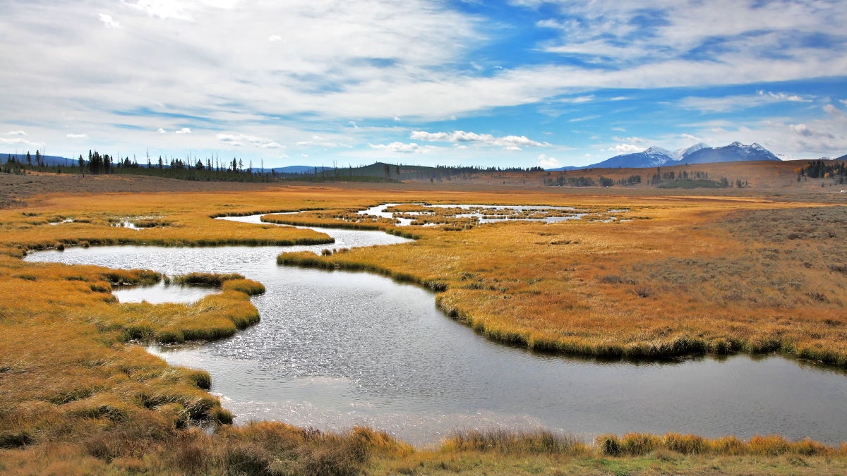 Autumn in Yellowstone National Park - Everything You Need to Know