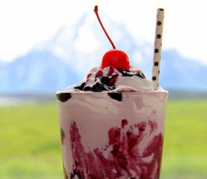 "GT-HuckleberryShake_GTLC_700v" - Yellowstone National Park