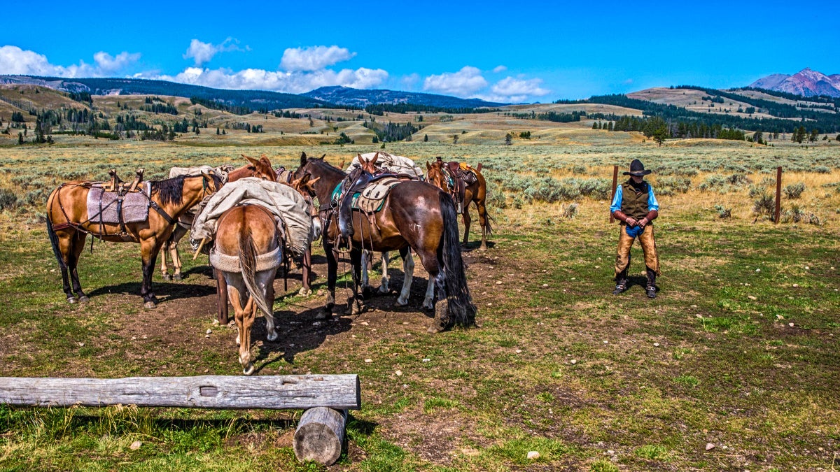 Texas to Wyoming Yellowstone Cowboy Road Trip