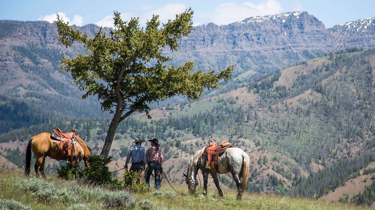 Dude Ranches near Yellowstone, Grand Teton and Glacier National Parks