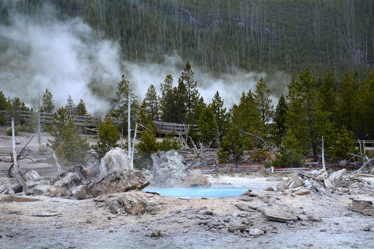 Has Anyone Died Falling in a Geyser in Yellowstone?
