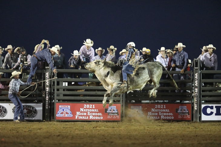 6 Things to Explore On the Way From Rushmore to Yellowstone