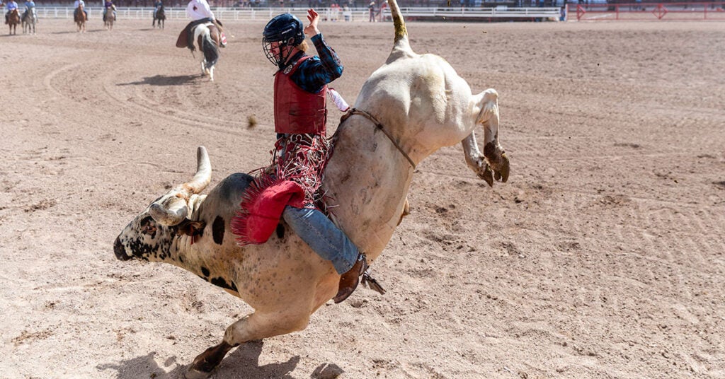 9 Best Rodeos in Yellowstone Country