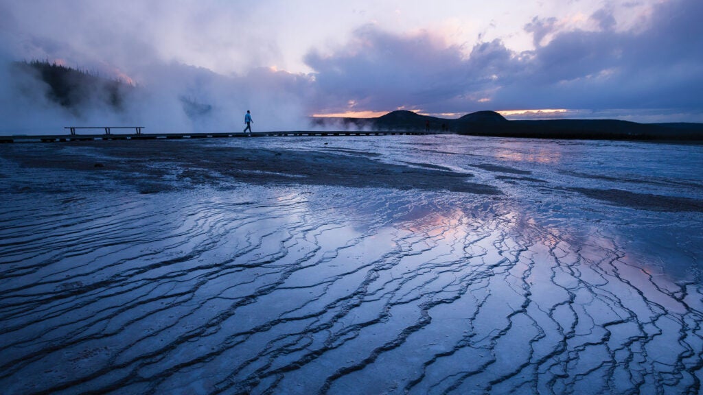 Yellowstone Essentials: 12 Basic Things You Need to Know