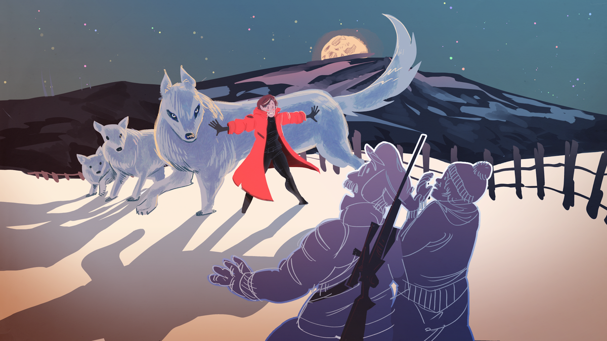 My Rancher Parents Hate Wolves. I Took Them on a Wolf-Watching Tour in ...